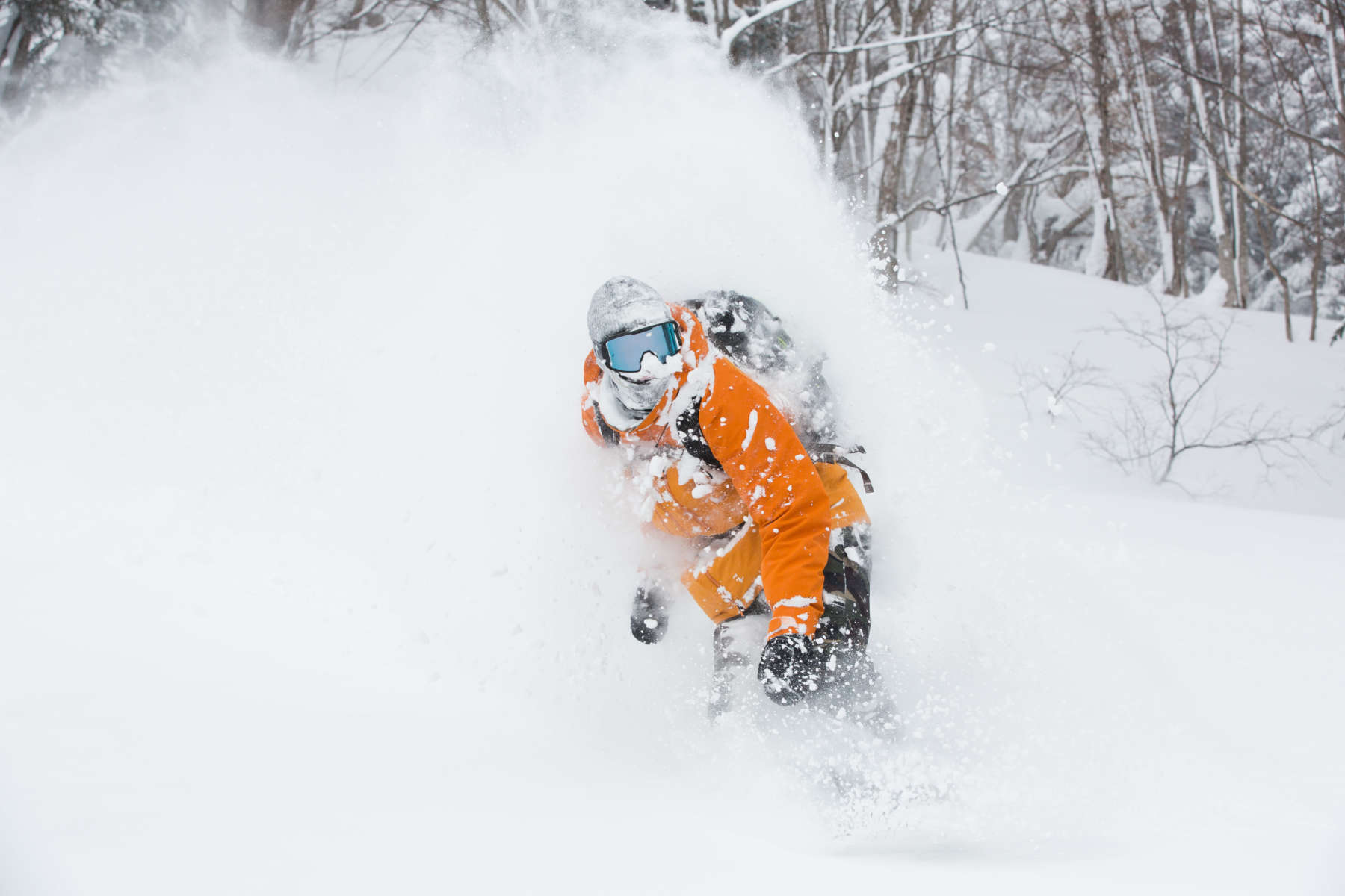 What Makes Niseko's Snow So Special?